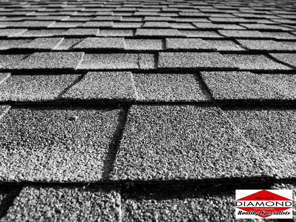 When Does Shingle Granule Loss Prompt a Roof Replacement?