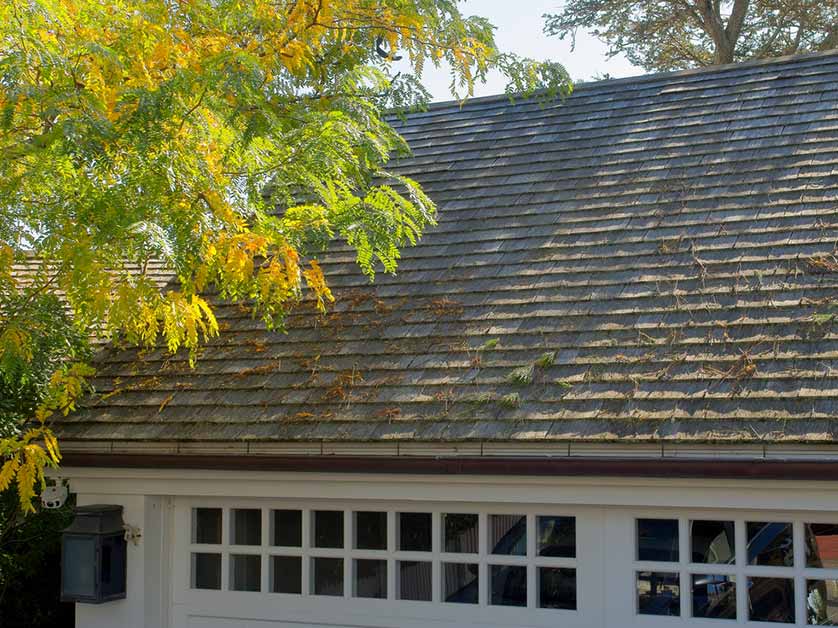 Which Type of Debris Are Particularly Damaging to Roofs?